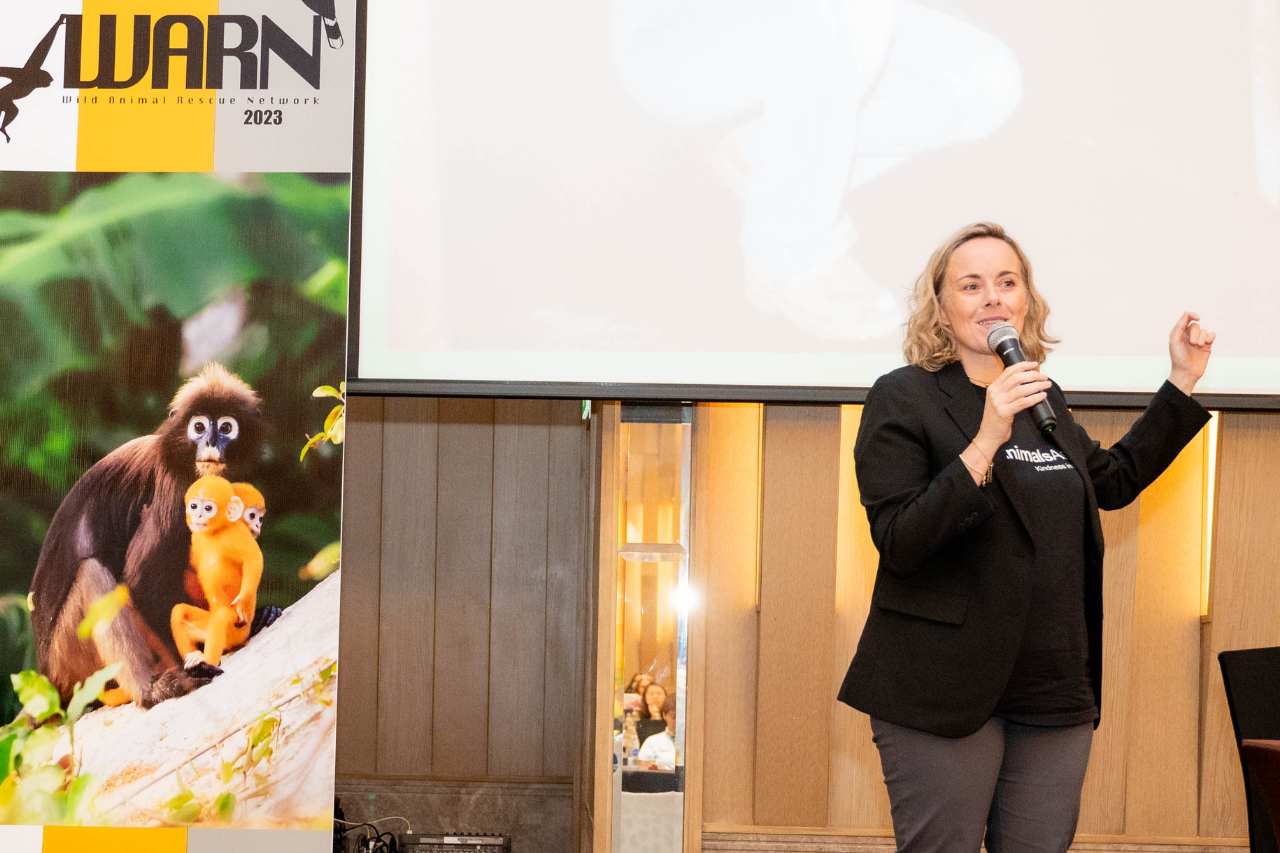 Executive Board – Wild Animal Rescue Network (WARN ASIA)